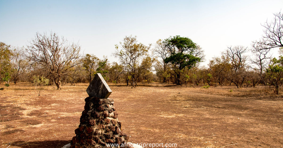 Niokolo Koba National Park An Exciting Adventure Into Senegals Wilderness