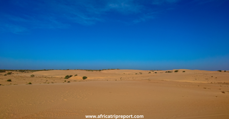 The Ultimate Travel Guide to Lompoul Village