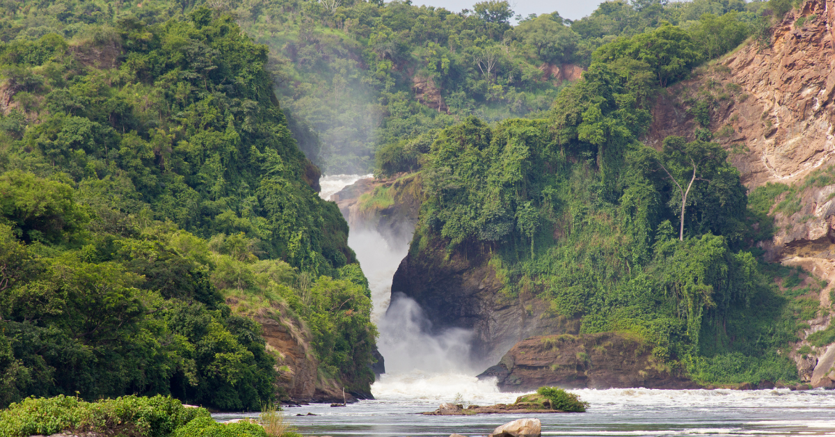 The Ultimate Guide Of Murchison Falls National Park